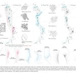 Phase Shifts Park | mosbach paysagistes - RTF | Rethinking The Future