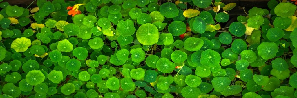 This is How the Color in Your Surroundings Affects Your Brain - RTF