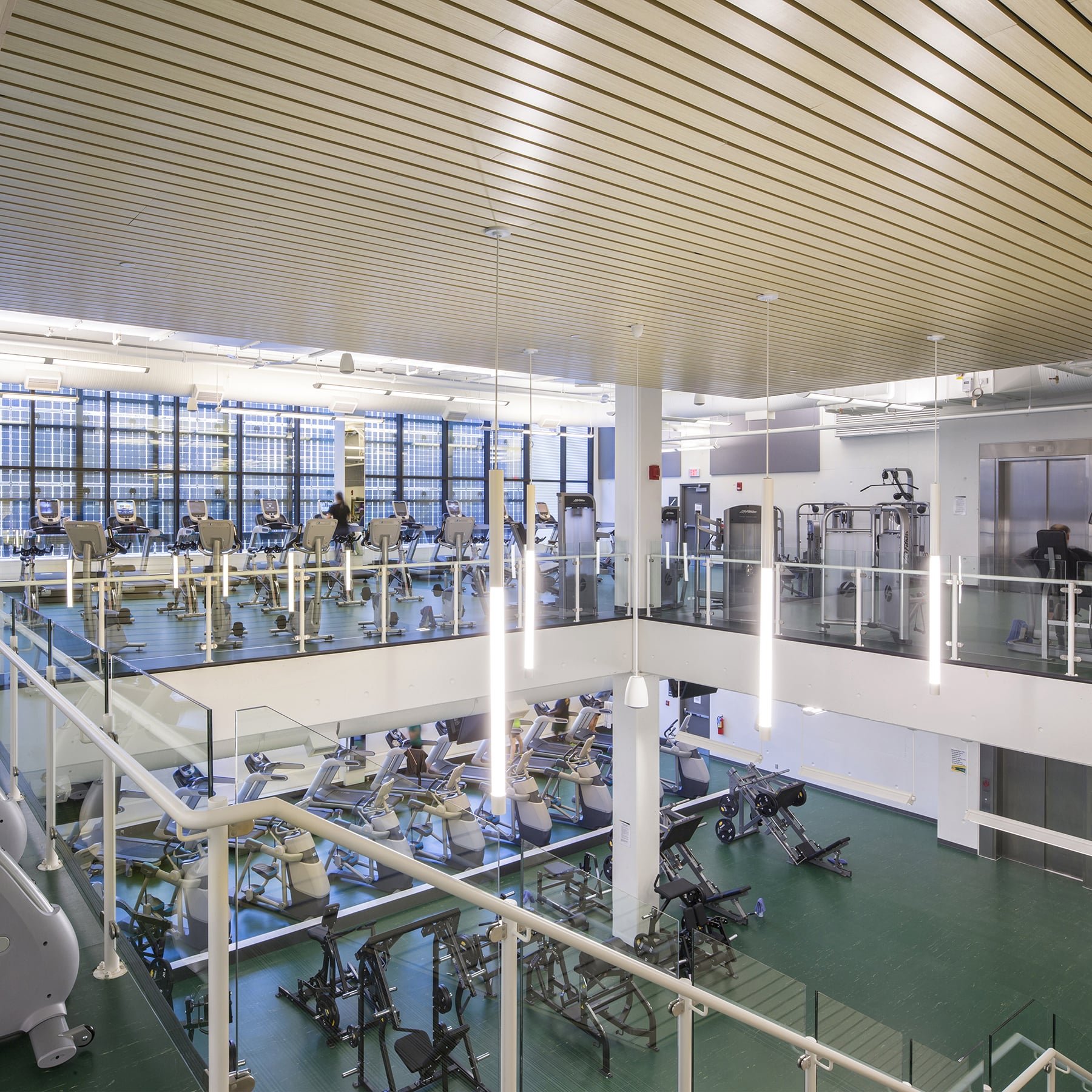 University of Alberta PAW Centre By Group 2 Architecture+ Interior Design