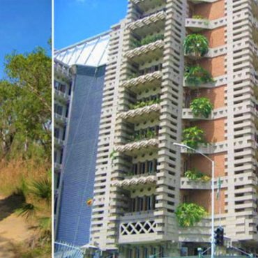 What is Biomimetic Architecture and why young Architects should know ...