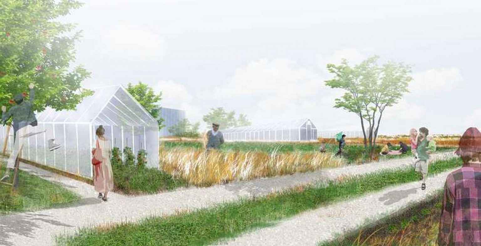 Architecture's ripple effect - 5 tips for designing for big impact - RTF