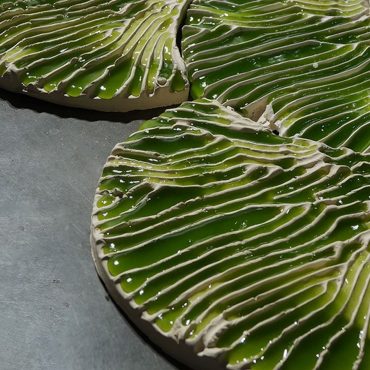 10 Instances of Biomimicry in Interiors - RTF | Rethinking The Future