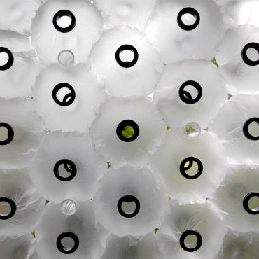 10 Instances of Biomimicry in Interiors - RTF | Rethinking The Future