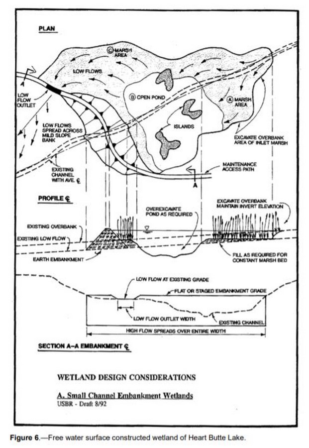 10 Things to remember while designing for Wetlands - RTF | Rethinking ...