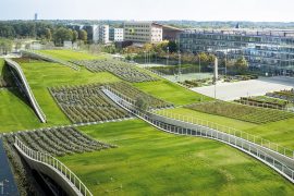 10 things to remember while designing a university campus - RTF ...