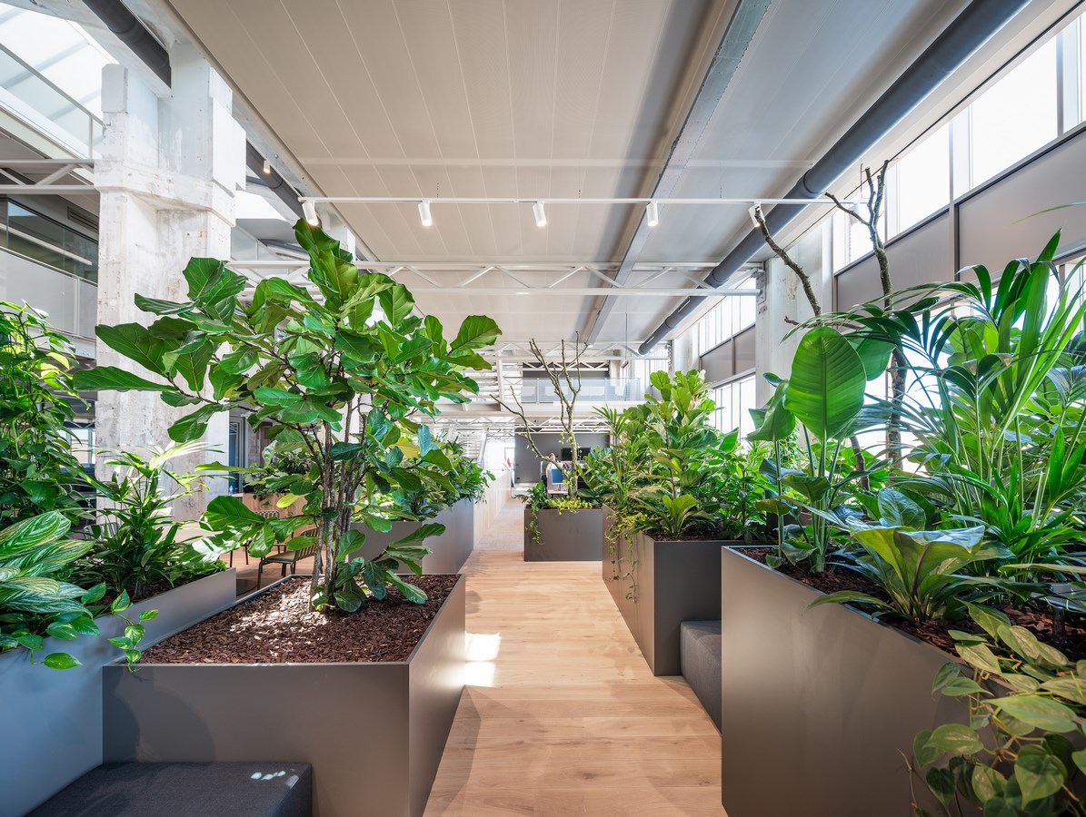 Factory hall transforms into dynamic office by HofmanDujardin - RTF ...