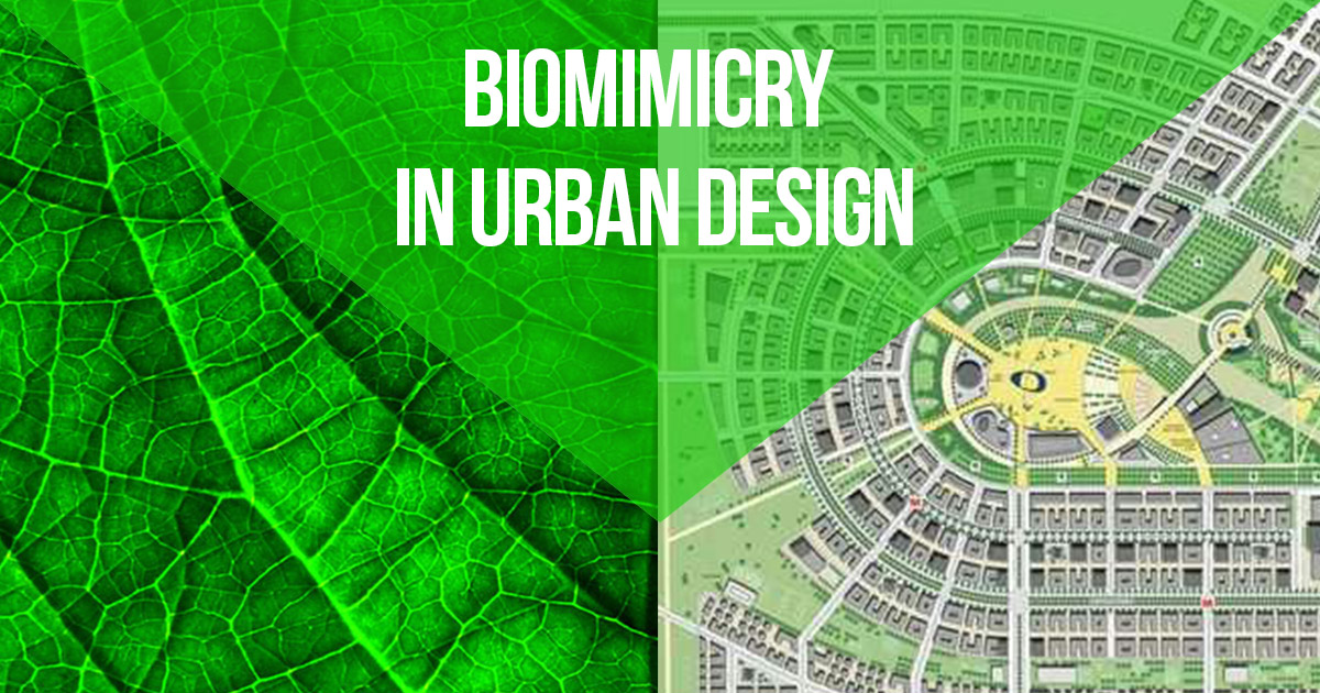 Biomimicry in Urban Design - RTF | Rethinking The Future