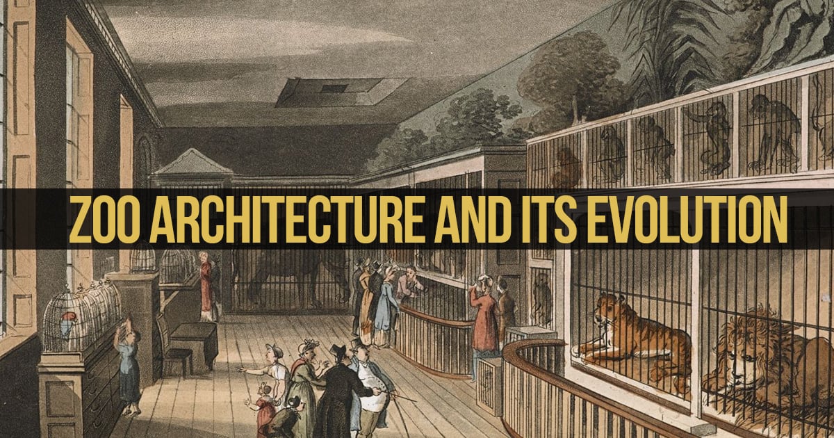 A Peek into Zoo Architecture and its Evolution - RTF | Rethinking The ...
