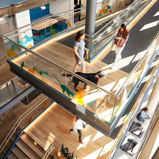 10 Architectural projects focusing on Animals - RTF