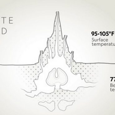 What Termites can teach architects about Skyscraper Design - RTF ...