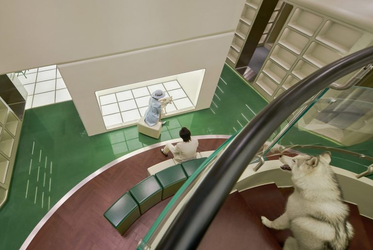BIBU Pet Store By One Fine Day Studio & Partners - RTF | Rethinking The ...