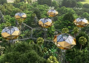 A New Dawn of Creation and Reality - RTF | Rethinking The Future