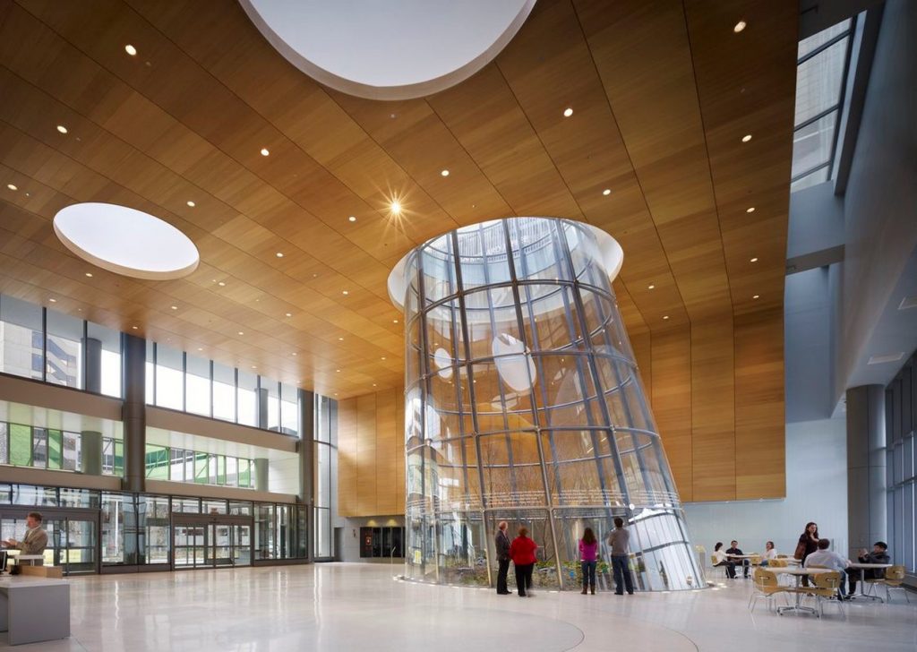 Neuro-Architecture: Emerging Field, Merging Fields - RTF | Rethinking ...