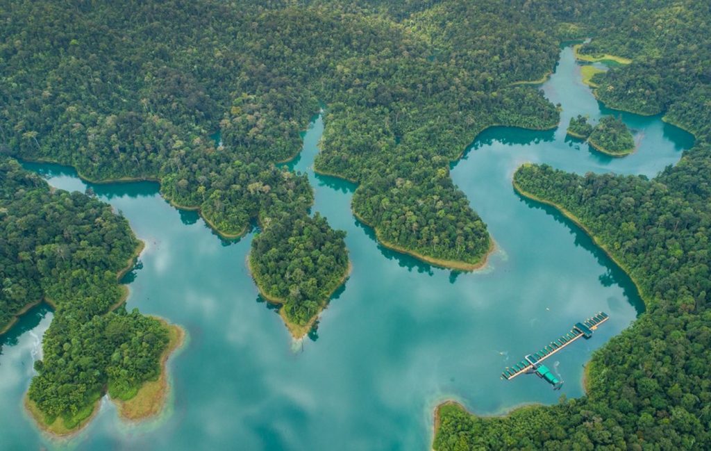 Sanctuaries for the preservation of wildlife in urban areas - RTF