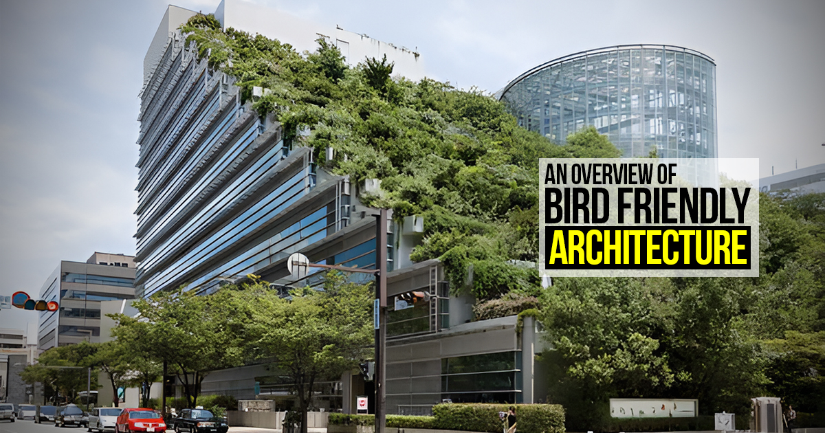 An overview of Bird-Friendly Architecture - RTF | Rethinking The Future