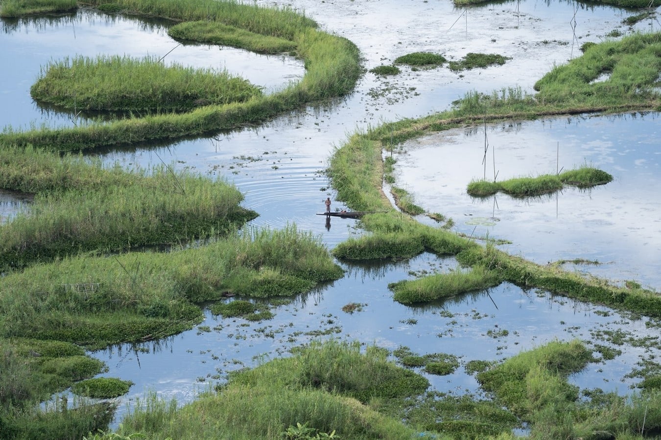 An overview of Ramsar Convention - RTF | Rethinking The Future