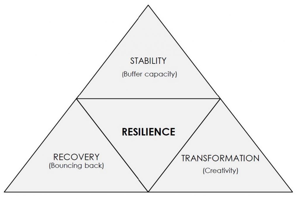 Community resilience through architecture - RTF
