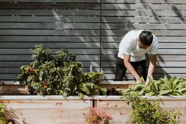 Garden Rooms by Quick Garden - RTF | Rethinking The Future