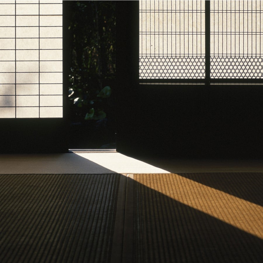 Book in Focus: In Praise of Shadows by Jun’ichiro Tanizaki - RTF