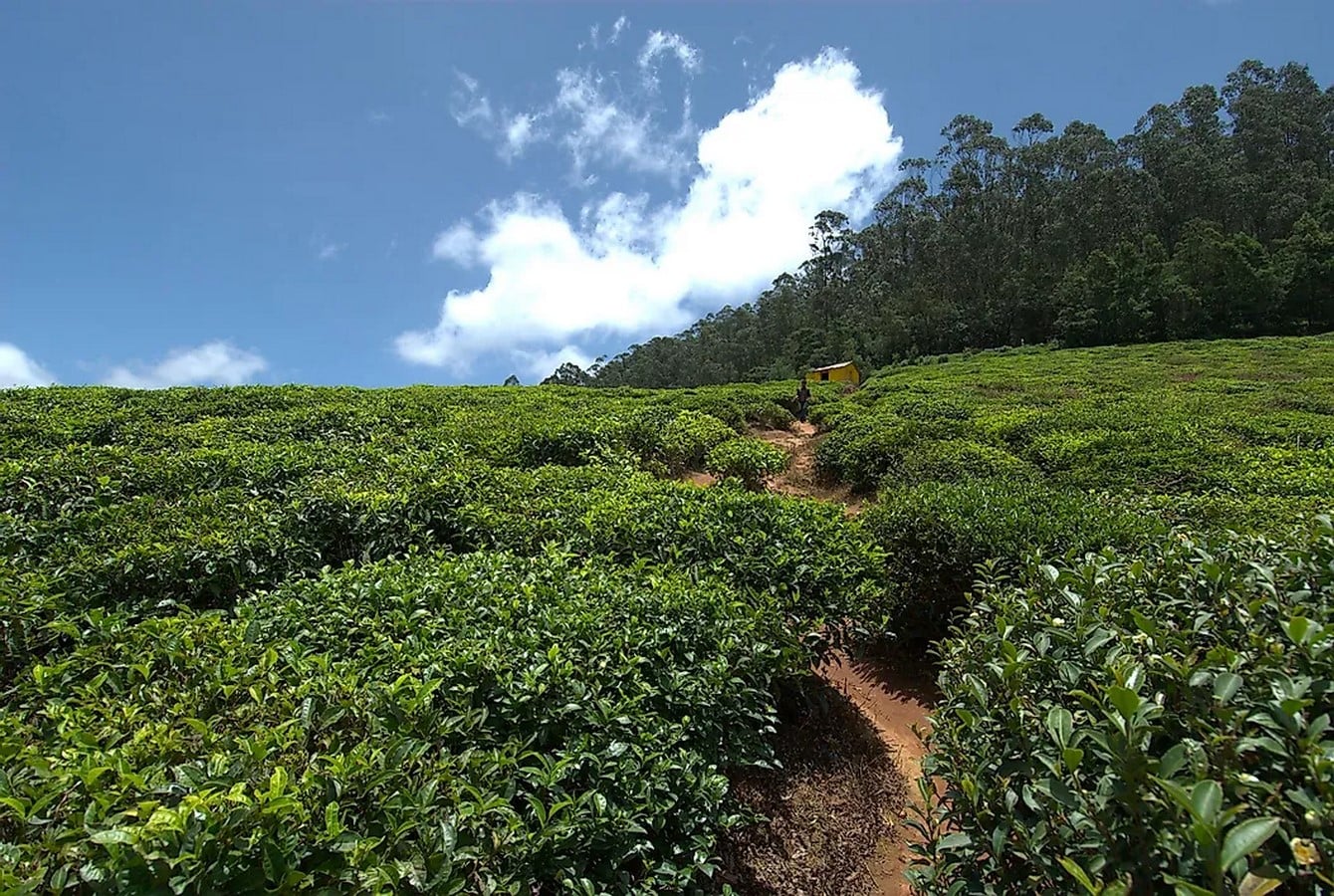 15 Places to visit in Ooty for Travelling Architect - RTF