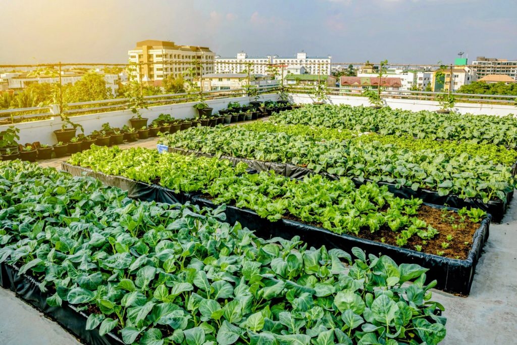 Sustainable Land use Strategies in Urban Planning - RTF | Rethinking ...