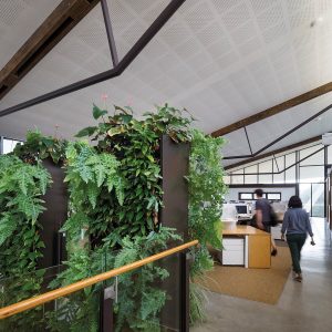 Sustainable Buildings Research Centre by Cox Architecture - RTF ...