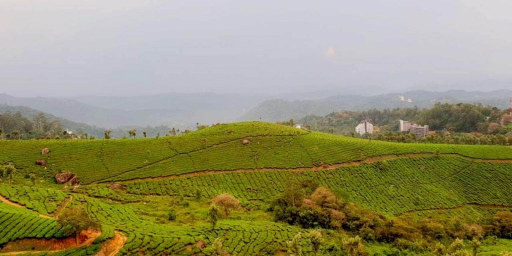 15 Places to visit in Munnar for Travelling Architect - RTF