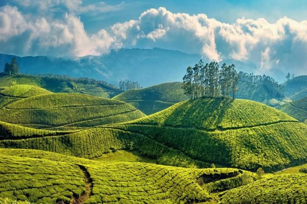 15 Places to visit in Munnar for Travelling Architect - RTF