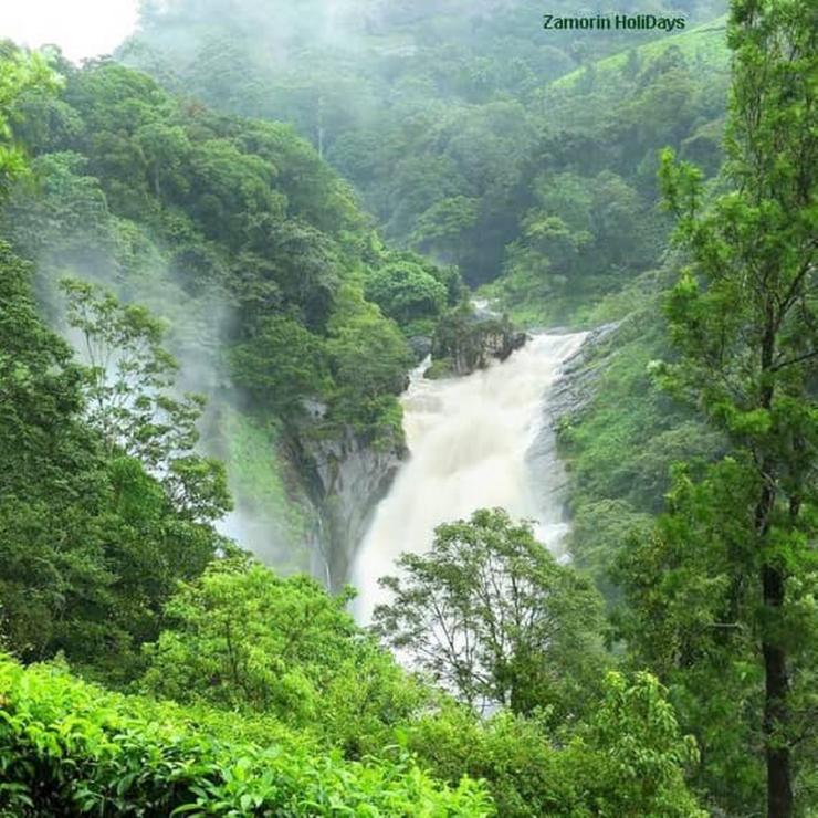 15 Places to visit in Munnar for Travelling Architect - RTF ...