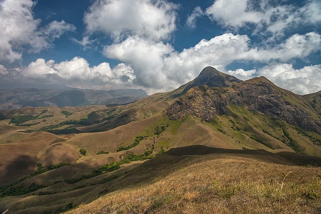 15 Places to visit in Munnar for Travelling Architect - RTF
