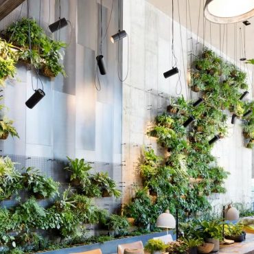10 Examples of Biophilic Interior Design - RTF