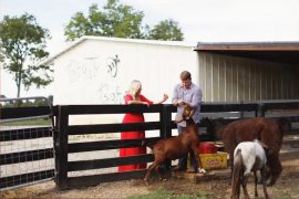 Luke Bryan House: 10 Facts through Architect's Lens - RTF