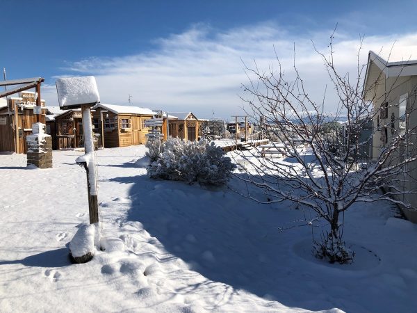 An architectural review of Molossia - RTF | Rethinking The Future