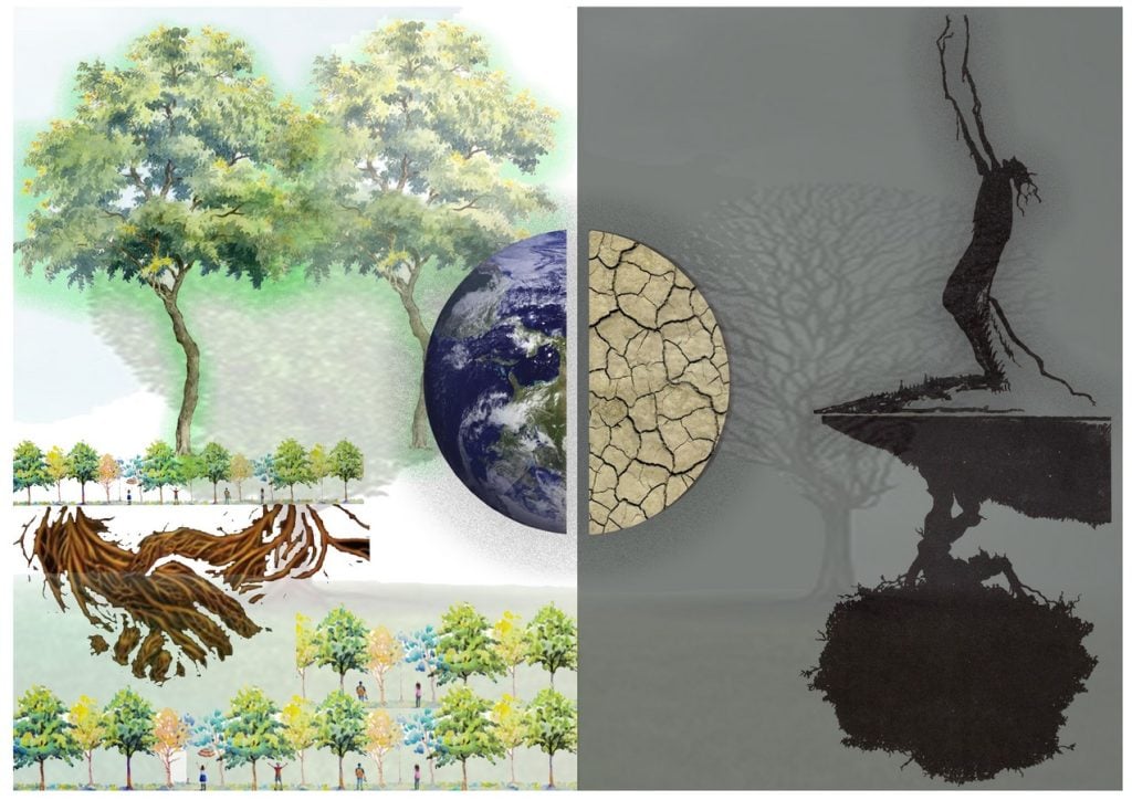 Environment and sustainability - RTF | Rethinking The Future