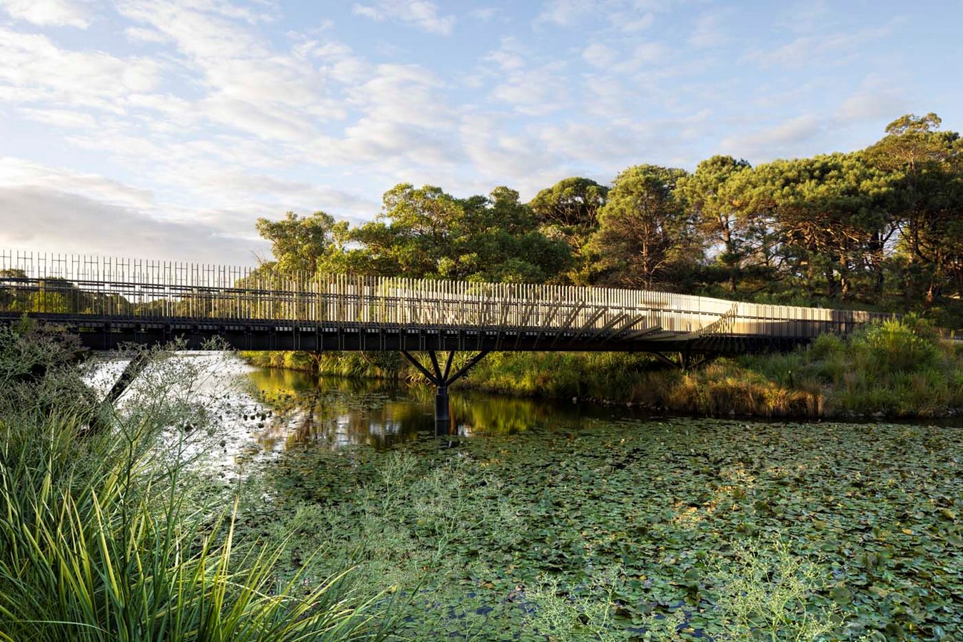 A sneak peek into the studios of Sam Crawford Architects - RTF ...