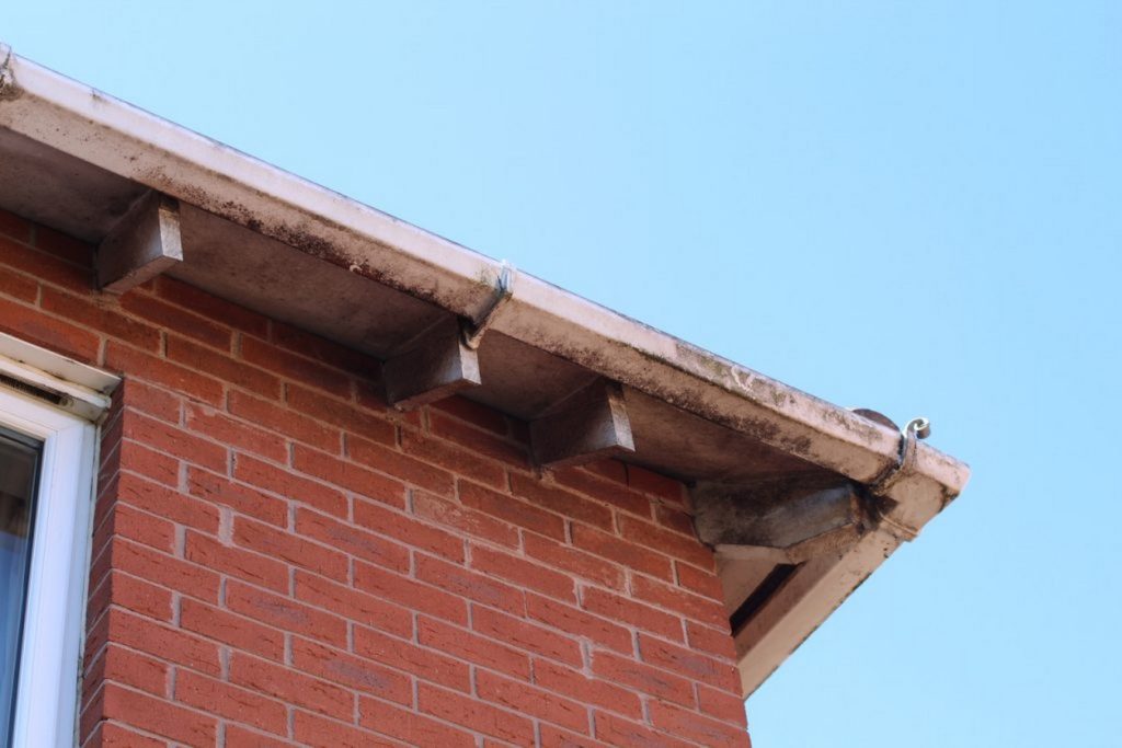 Roofing Eaves: Types, How to Fix, Parts & Maintanence - RTF ...