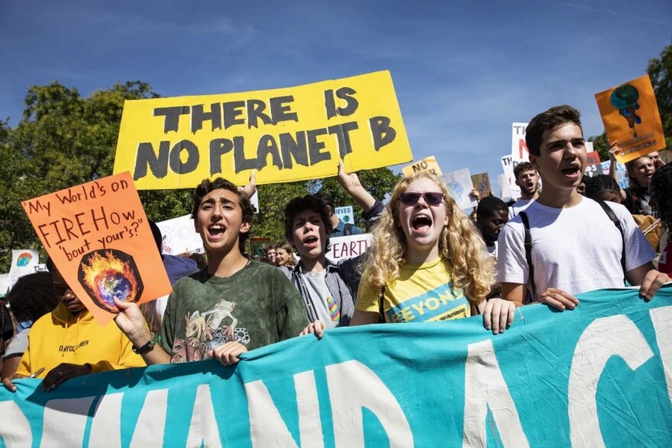 What are Indigenous Rights Activists - RTF | Rethinking The Future