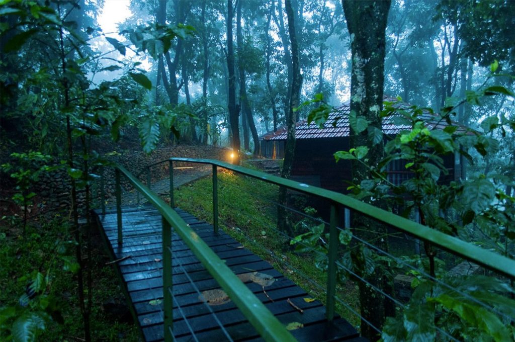 15 Places to visit in Wayanad for Travelling Architect - Page 2 of 2 - RTF