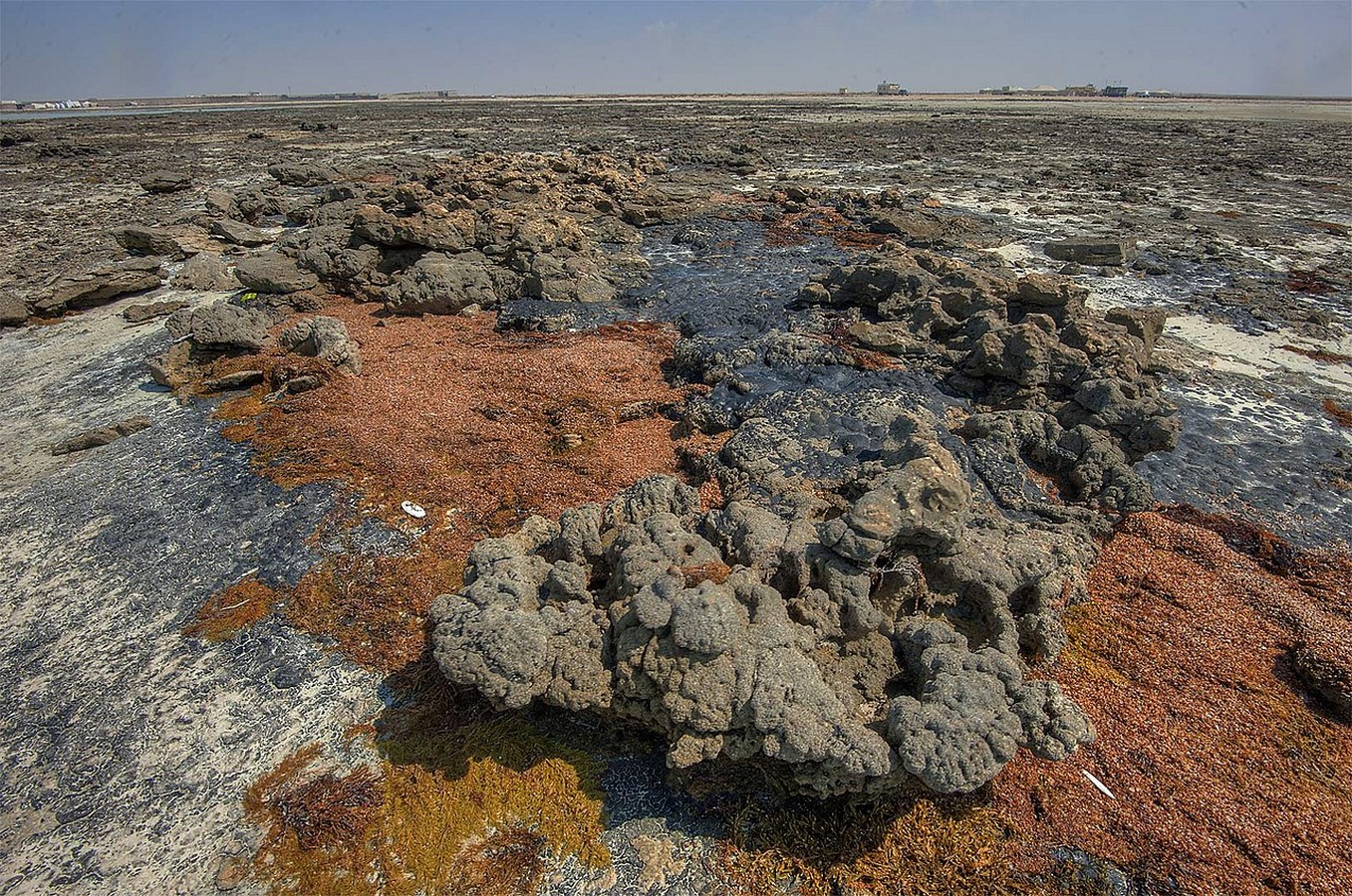 Cultural Heritage of Qatarv - RTF | Rethinking The Future