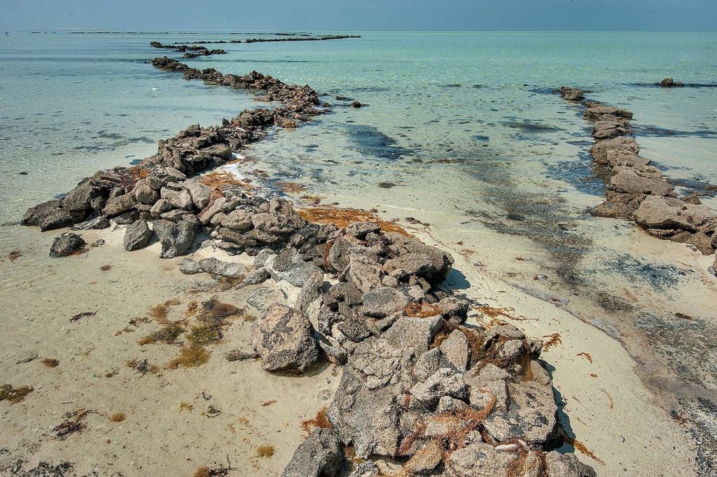 Cultural Heritage of Qatarv - RTF | Rethinking The Future