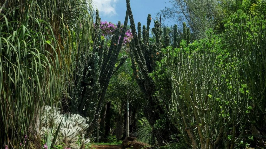 Museums of the World: Inhotim Museum - RTF