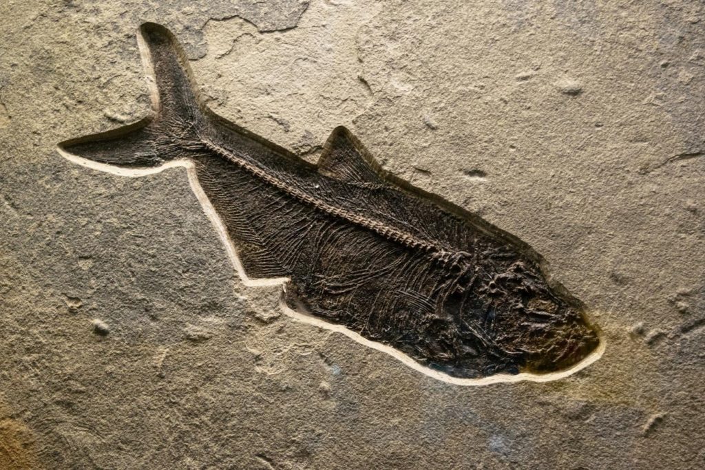 An overview of Underwater archaeology - RTF