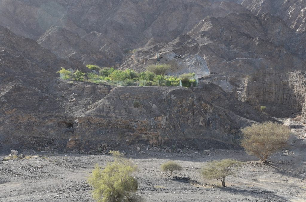 UAE Pavilion at the Venice Biennale Explores Abundance in Arid ...