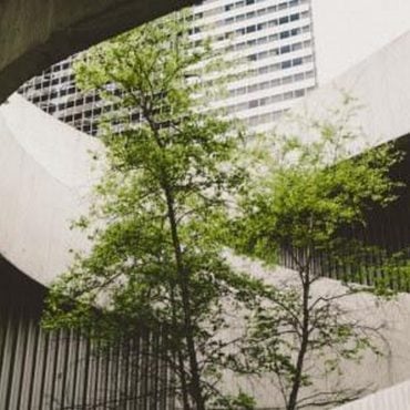 Limiting global warming through architectural and design practices
