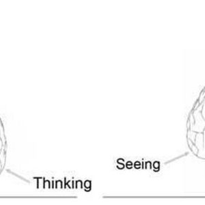 Importance of Visual Perception In Architecture - RTF | Rethinking The ...