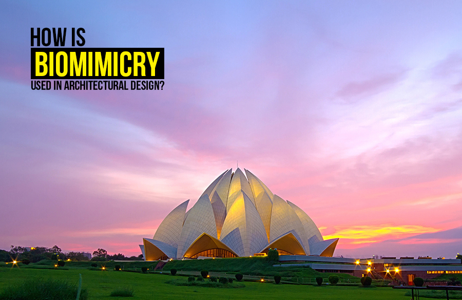 How is Biomimicry used in Architectural Design? - RTF | Rethinking The ...