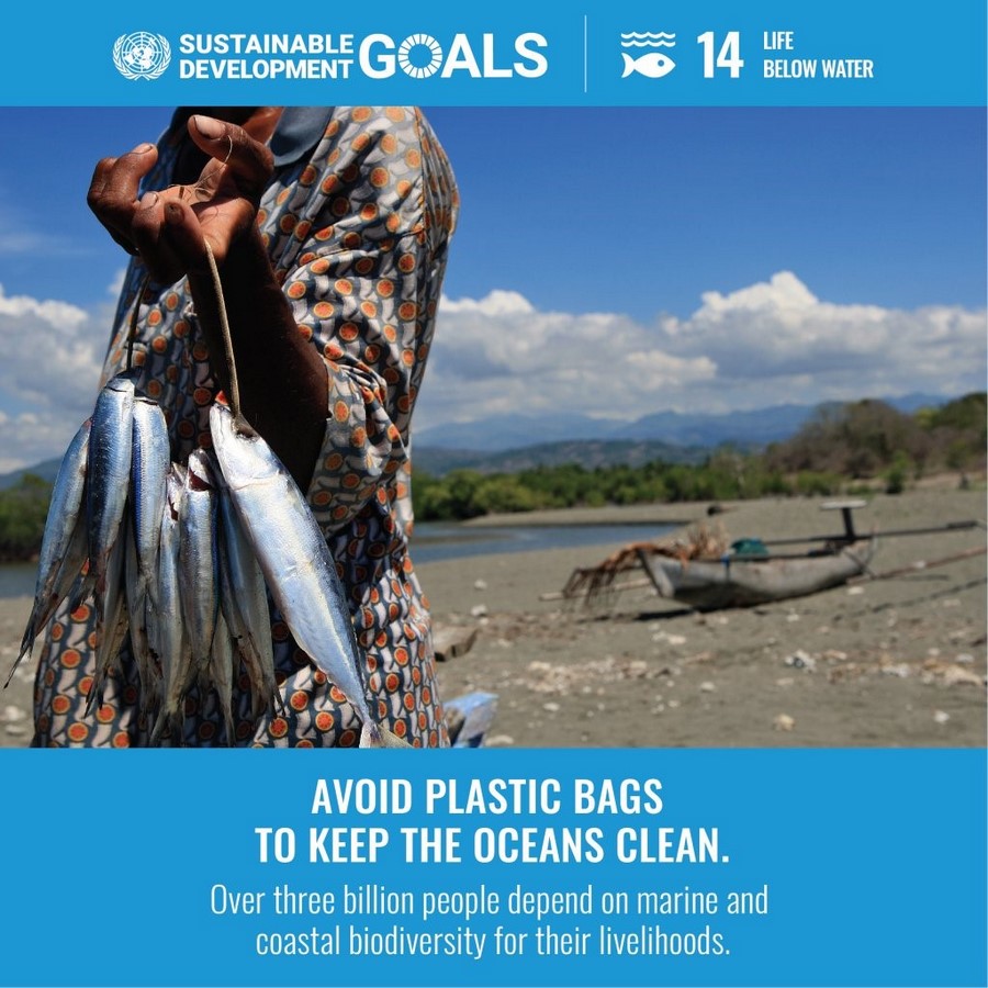 An Overview the 17 SDG Goals. - RTF | Rethinking The Future