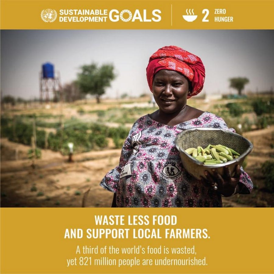 An Overview the 17 SDG Goals. - RTF | Rethinking The Future