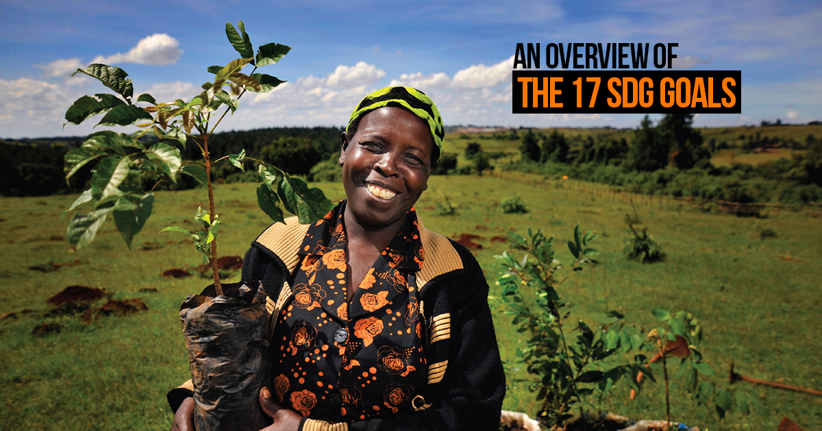 An Overview the 17 SDG Goals. - RTF | Rethinking The Future