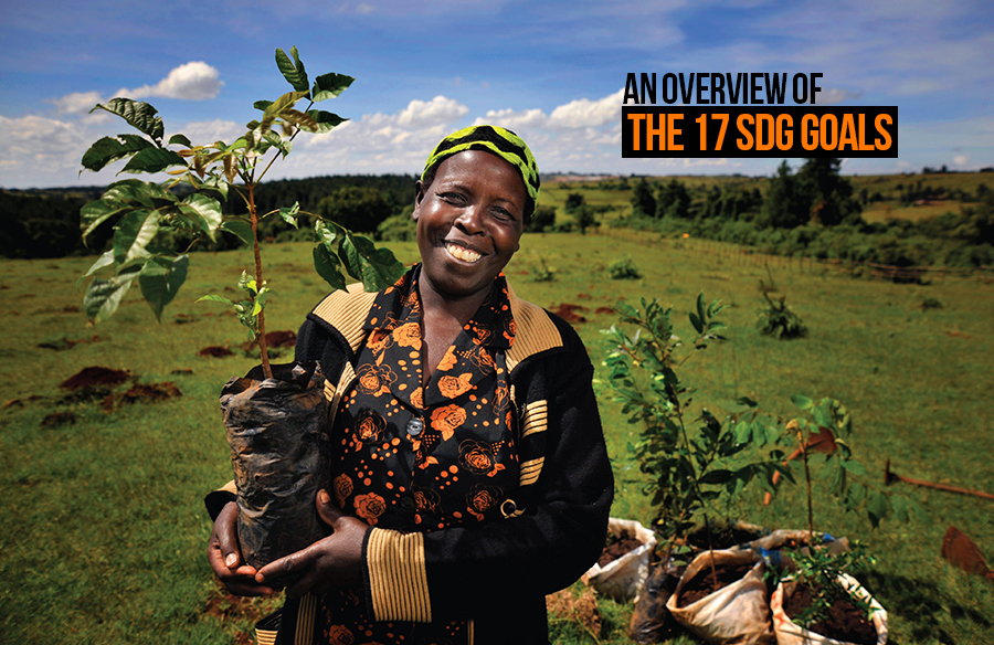 An Overview the 17 SDG Goals. - RTF | Rethinking The Future
